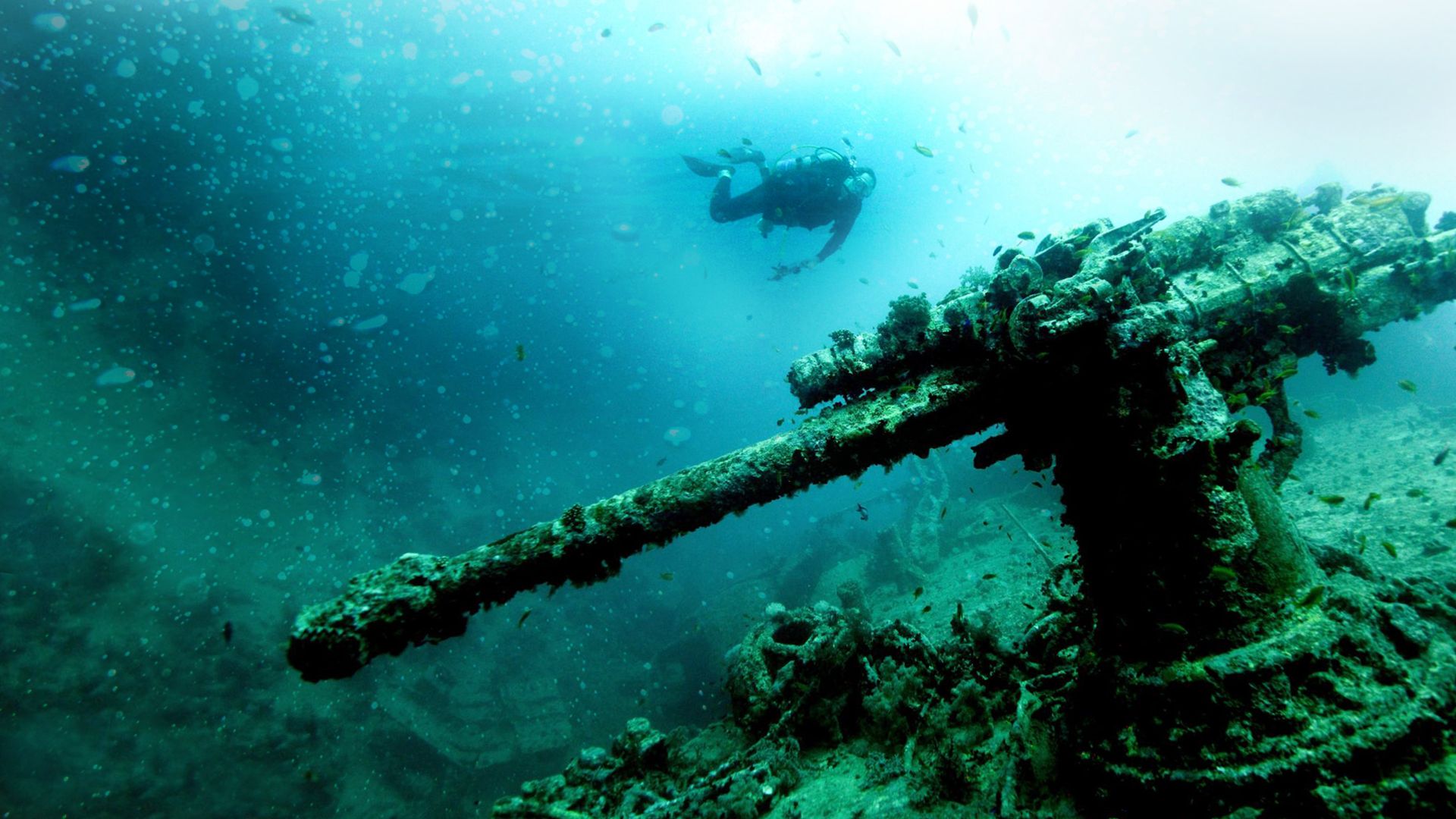 The Black Tears of the Sea - MagellanTV Documentaries