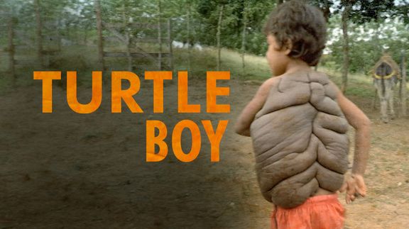Stream Turtle Boy | MagellanTV