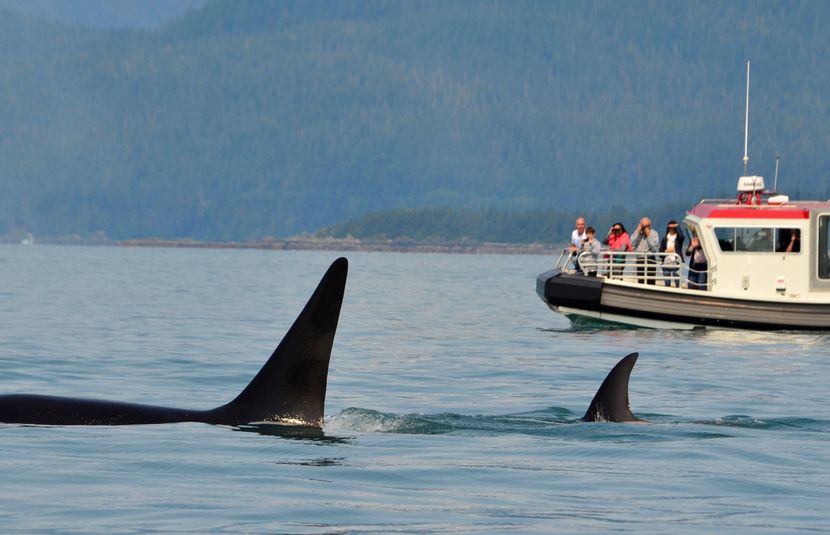 Documentary Articles: Nature - Articles by MagellanTV